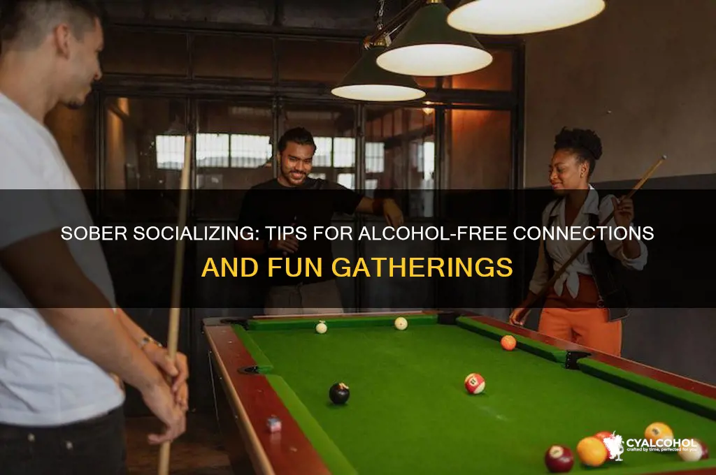 Sober Socializing: Tips For Alcohol-Free Connections And Fun Gatherings ...