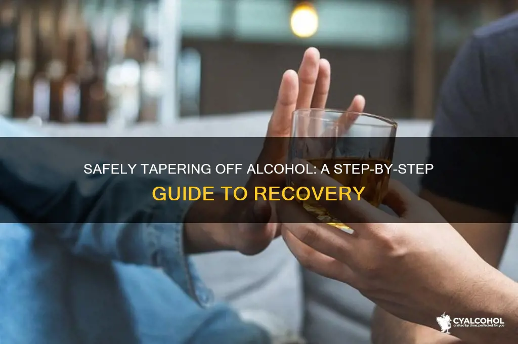Safely Tapering Off Alcohol: A Step-By-Step Guide To Recovery | CyAlcohol