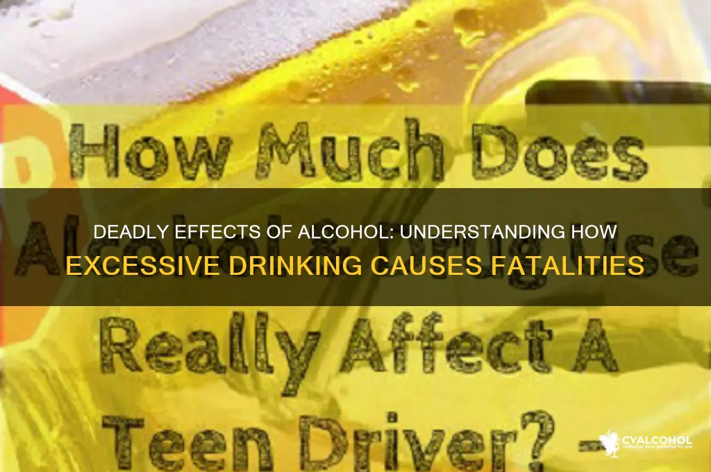 Deadly Effects Of Alcohol: Understanding How Excessive Drinking Causes ...