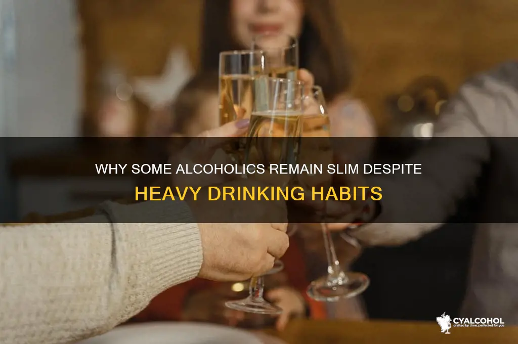 Why Some Alcoholics Remain Slim Despite Heavy Drinking Habits | CyAlcohol