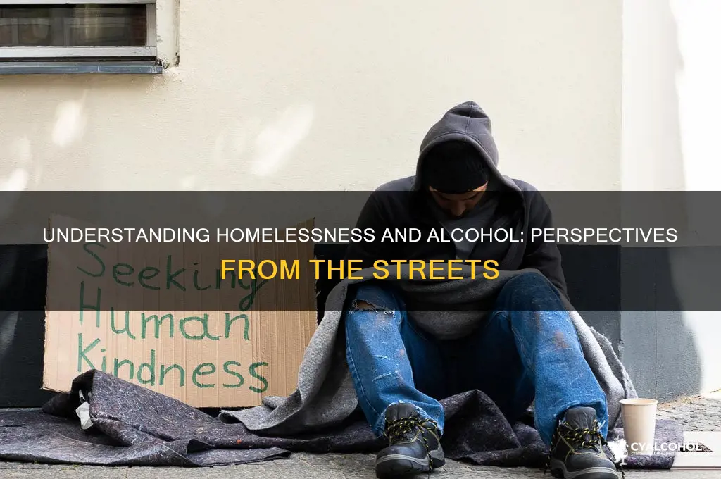 Understanding Homelessness And Alcohol: Perspectives From The Streets ...