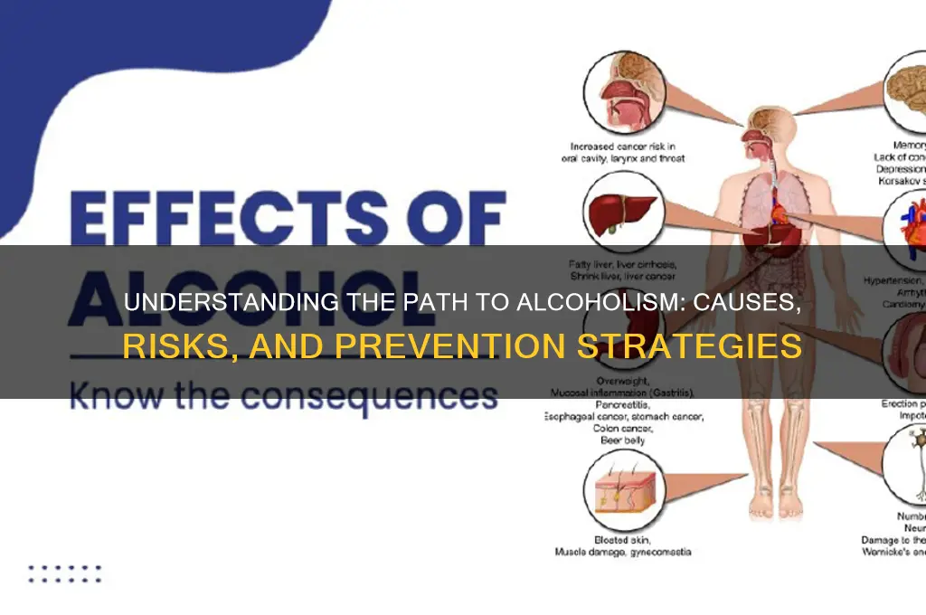 Understanding The Path To Alcoholism: Causes, Risks, And Prevention ...