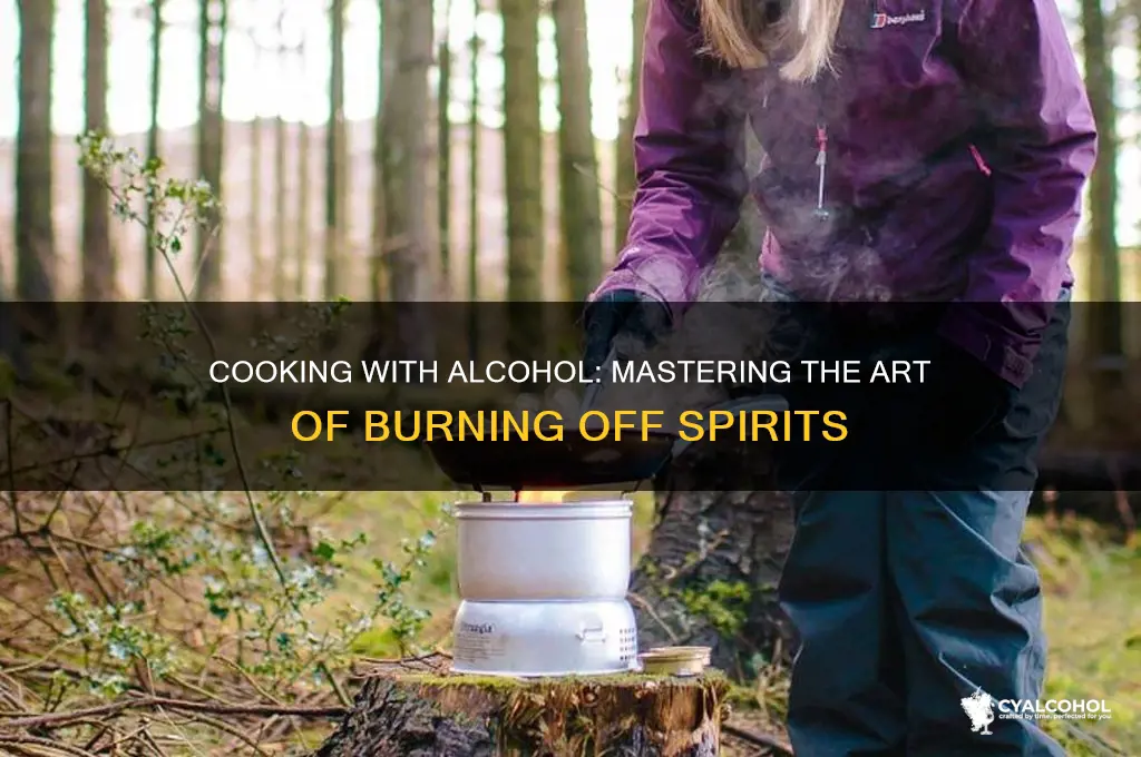 Cooking With Alcohol: Mastering The Art Of Burning Off Spirits | CyAlcohol