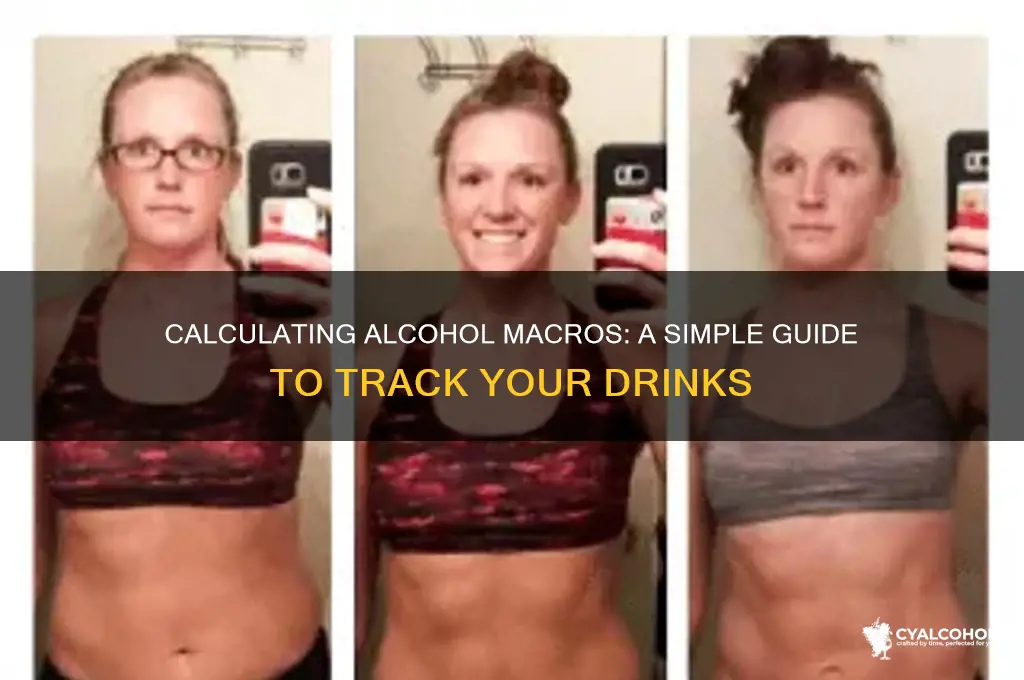 Calculating Alcohol Macros: A Simple Guide To Track Your Drinks | CyAlcohol