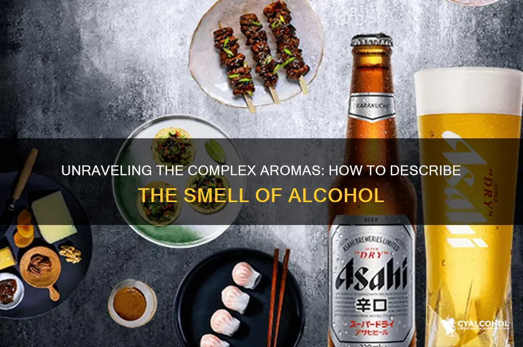 Unraveling The Complex Aromas: How To Describe The Smell Of Alcohol ...