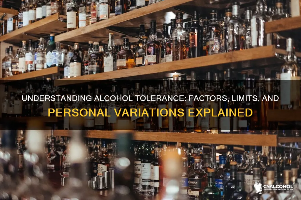 Understanding Alcohol Tolerance: Factors, Limits, And Personal ...