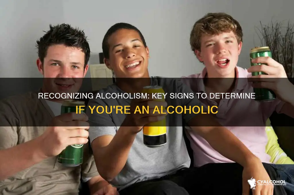 Recognizing Alcoholism: Key Signs To Determine If You're An Alcoholic ...