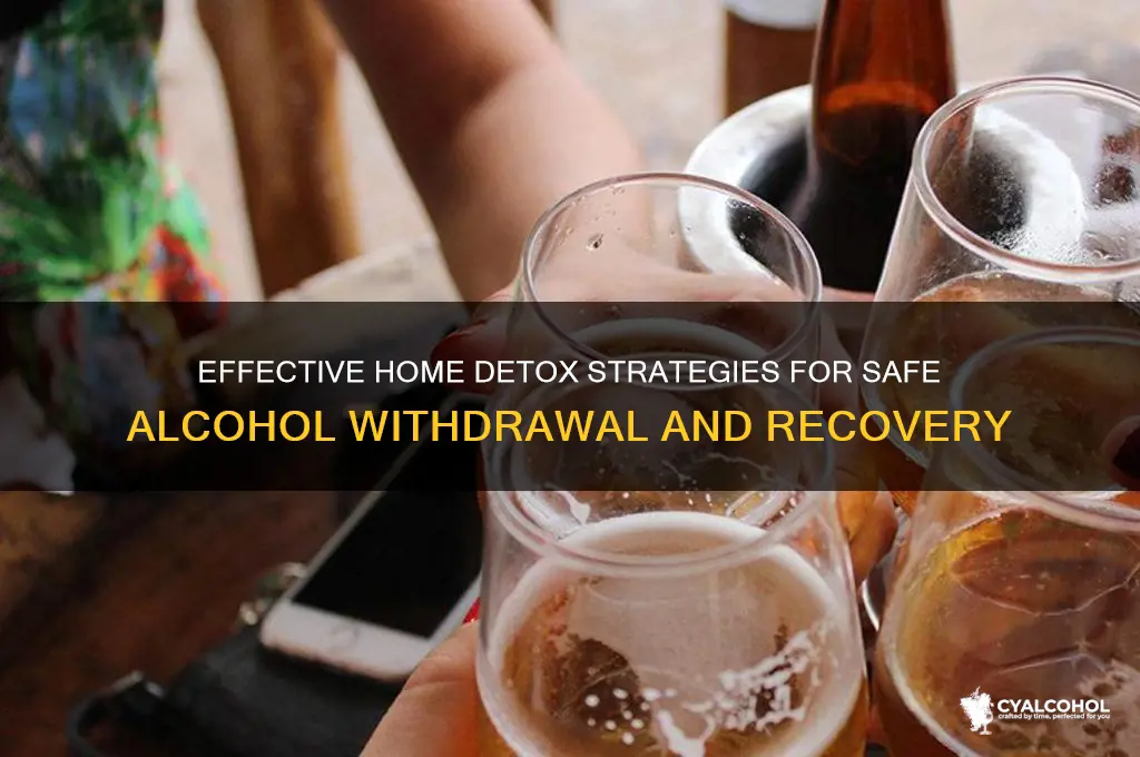 Effective Home Detox Strategies For Safe Alcohol Withdrawal And ...