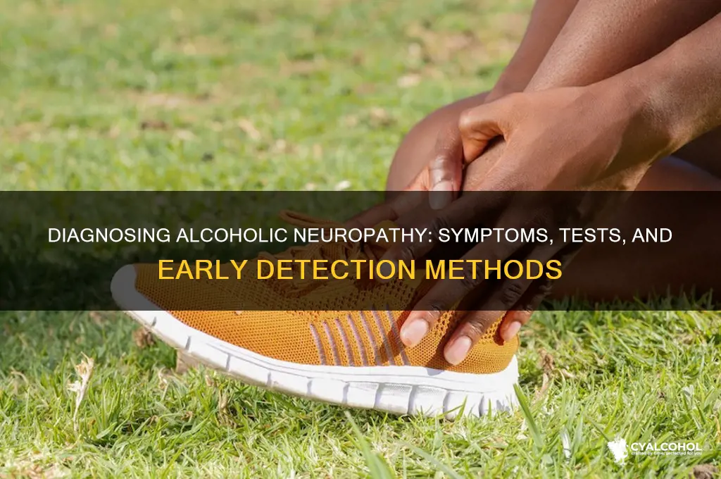Diagnosing Alcoholic Neuropathy: Symptoms, Tests, And Early Detection ...
