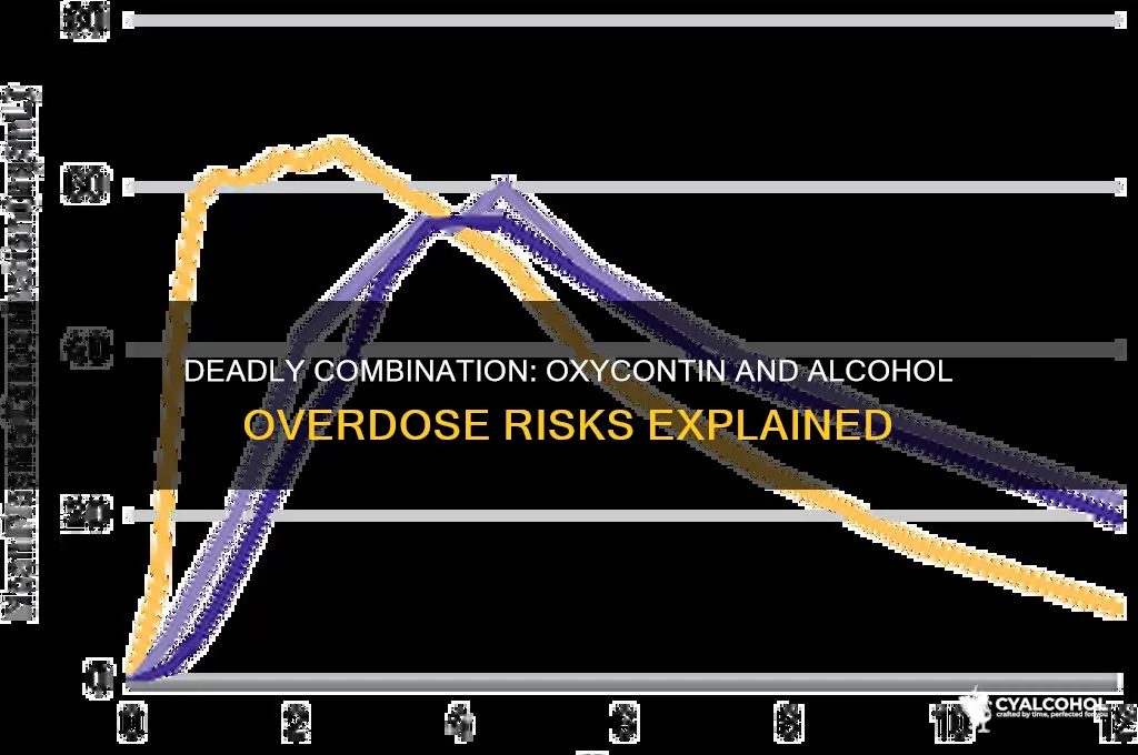 Deadly Combination: Oxycontin And Alcohol Overdose Risks Explained ...