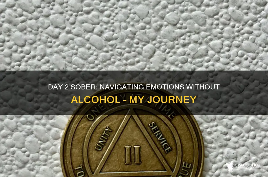Day 2 Sober: Navigating Emotions Without Alcohol – My Journey | CyAlcohol