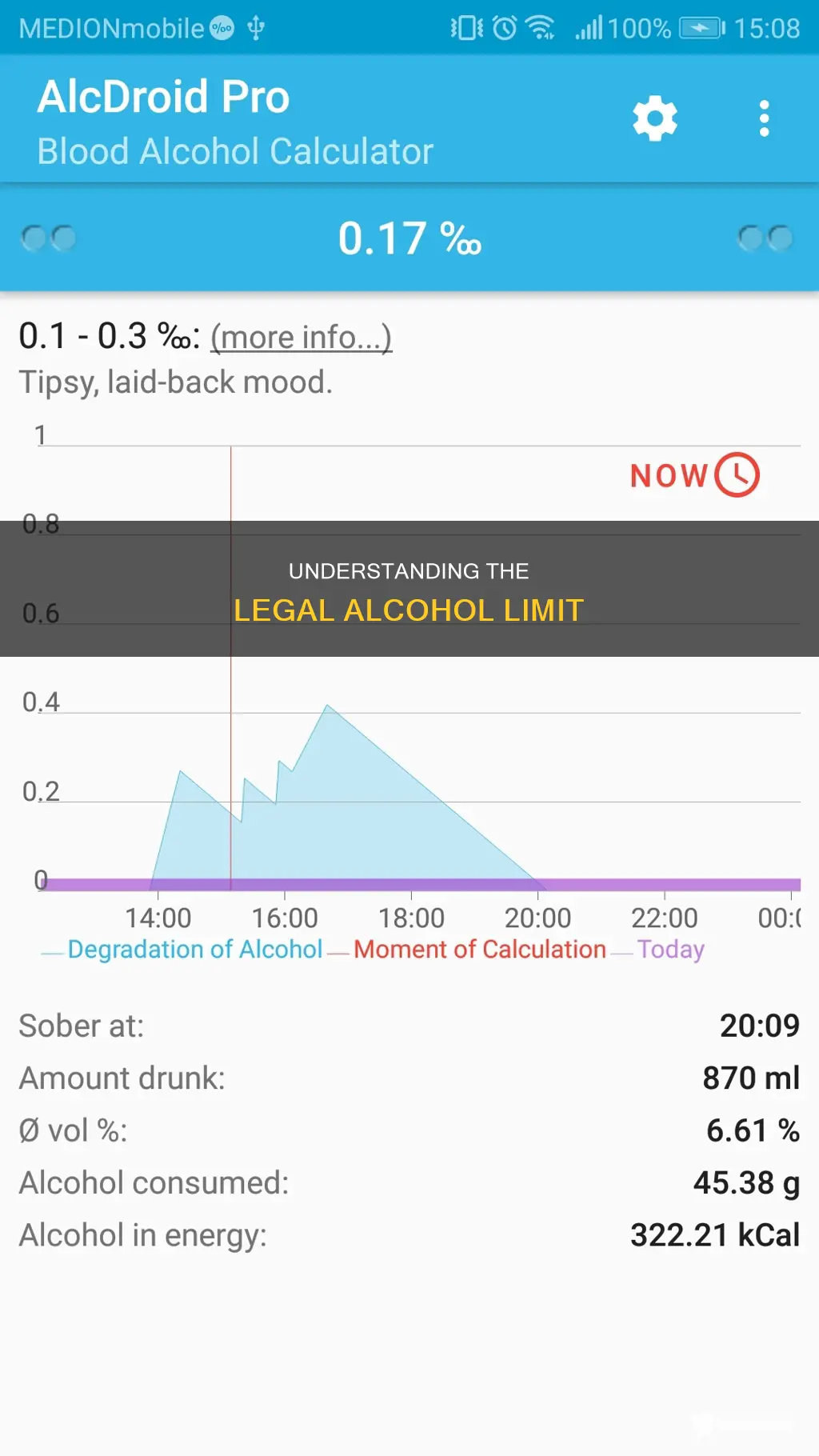 Understanding The Legal Alcohol Limit | CyAlcohol