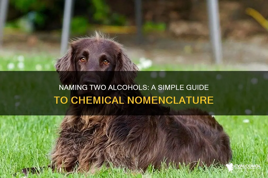 Naming Two Alcohols: A Simple Guide To Chemical Nomenclature | CyAlcohol