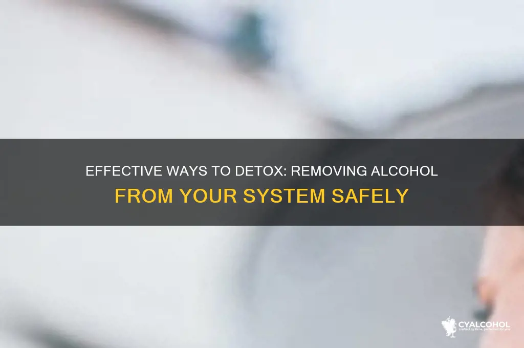 Effective Ways To Detox: Removing Alcohol From Your System Safely ...
