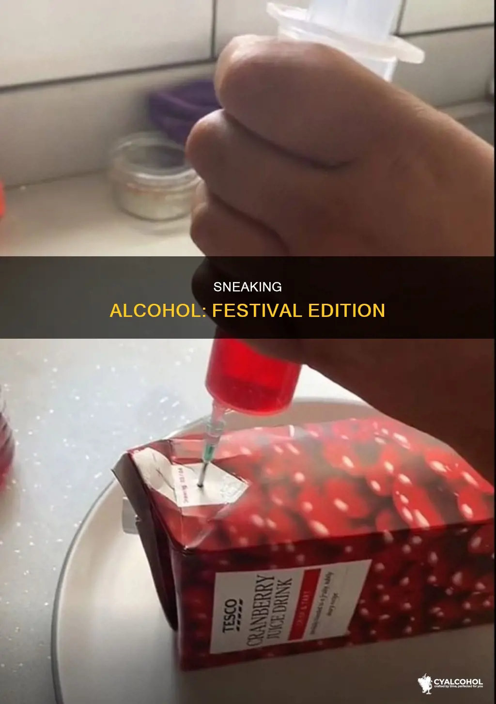 Sneaking Alcohol: Festival Edition | CyAlcohol