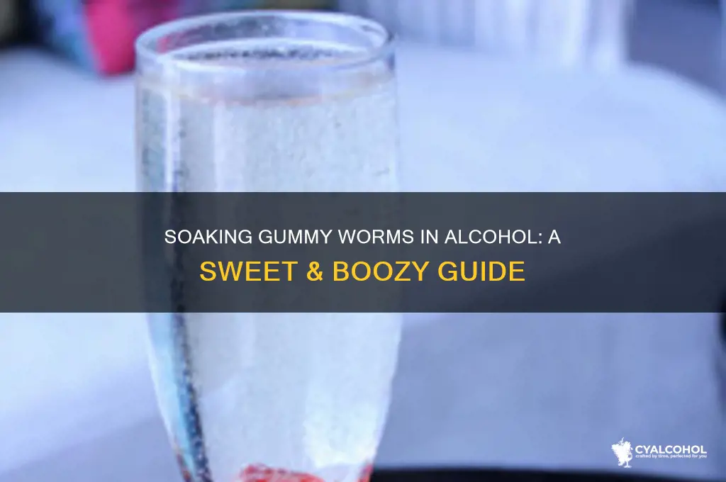 Soaking Gummy Worms In Alcohol: A Sweet & Boozy Guide | CyAlcohol