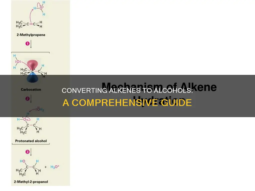 Converting Alkenes To Alcohols: A Comprehensive Guide | CyAlcohol