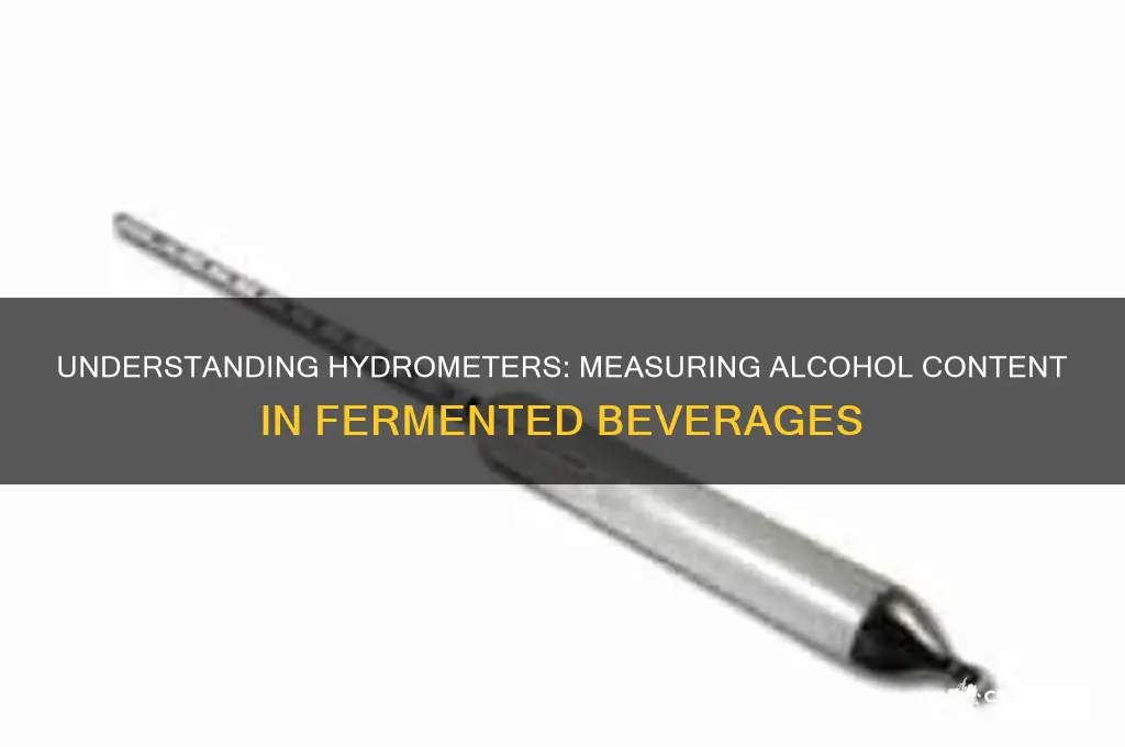 Understanding Hydrometers: Measuring Alcohol Content In Fermented ...