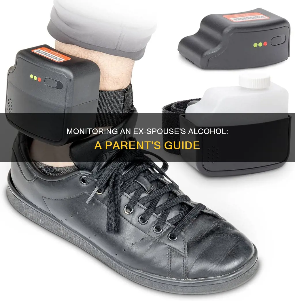 Monitoring An Ex-Spouse's Alcohol: A Parent's Guide | CyAlcohol