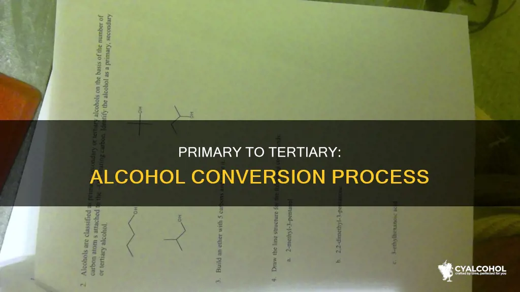 Primary To Tertiary: Alcohol Conversion Process | CyAlcohol