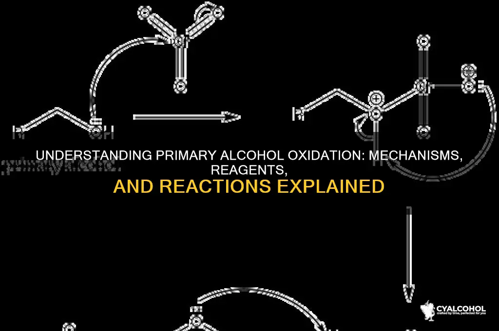 Understanding Primary Alcohol Oxidation: Mechanisms, Reagents, And ...