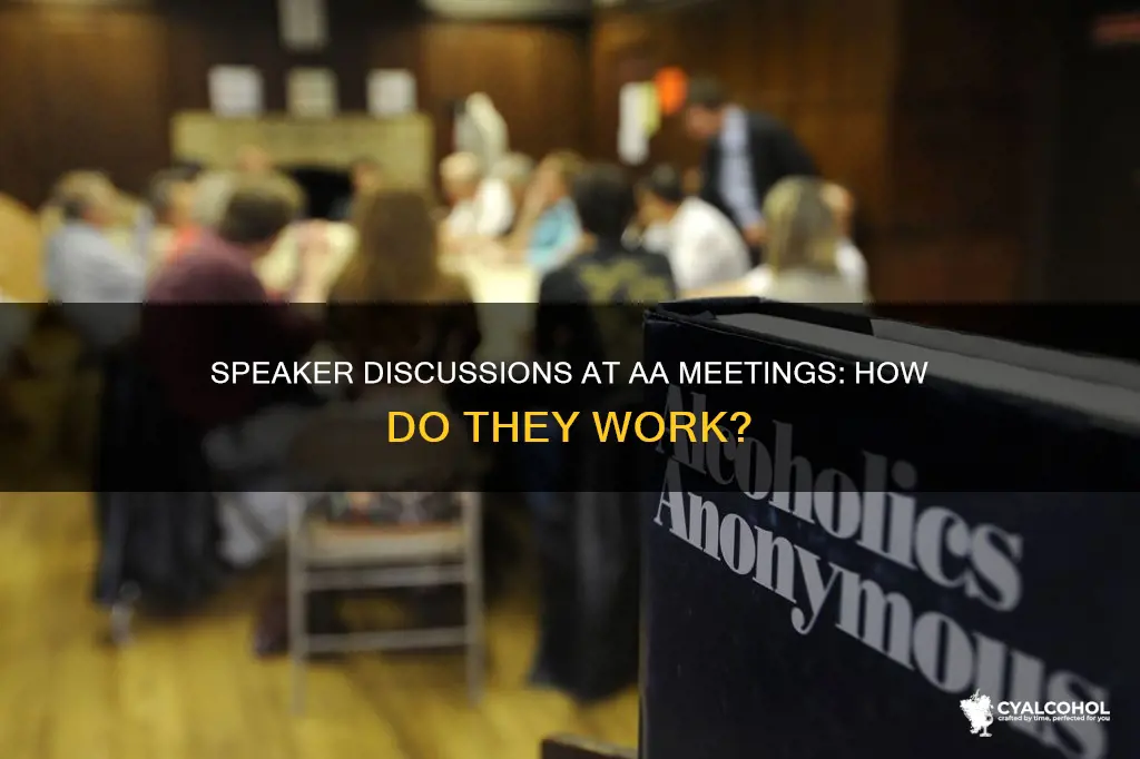 Speaker Discussions At Aa Meetings: How Do They Work? | CyAlcohol
