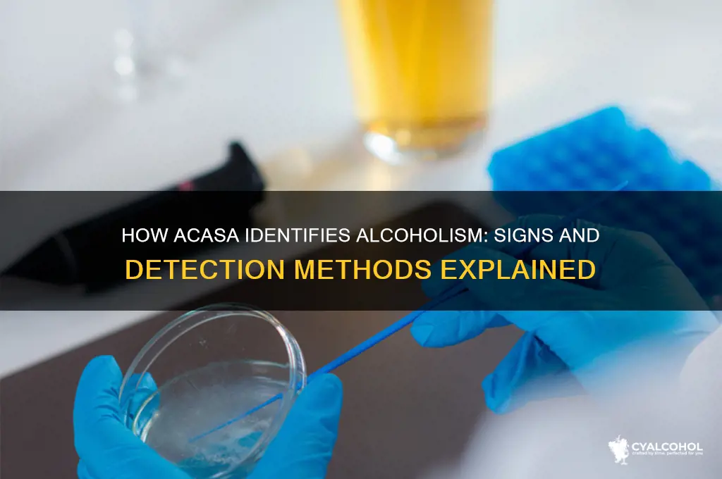 How Acasa Identifies Alcoholism: Signs And Detection Methods Explained ...