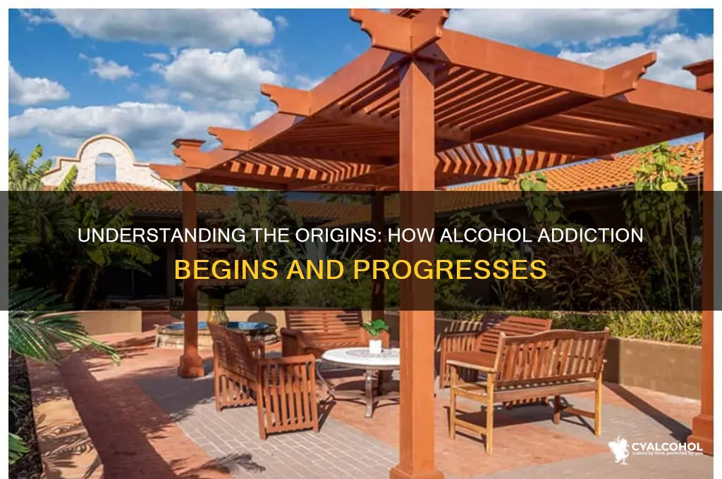Understanding The Origins: How Alcohol Addiction Begins And Progresses ...