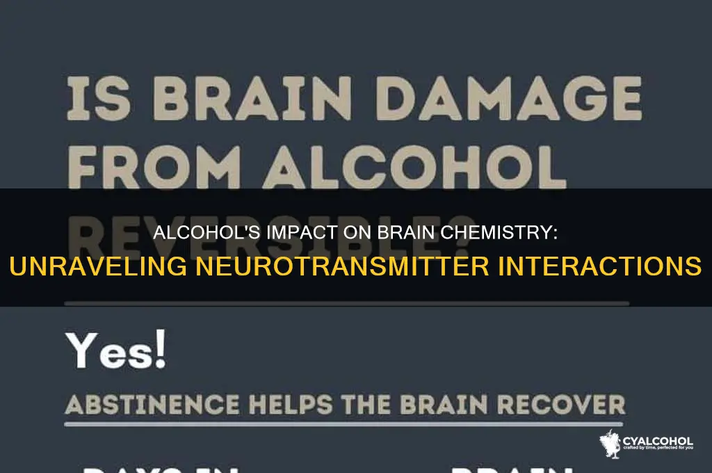 Alcohol's Impact On Brain Chemistry: Unraveling Neurotransmitter ...