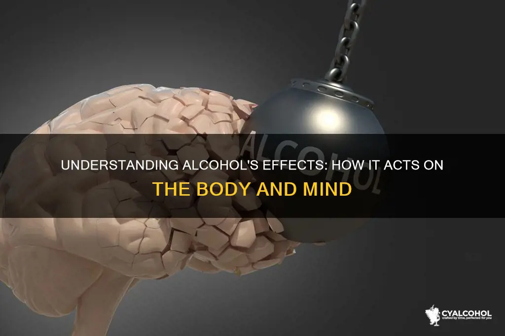 Understanding Alcohol's Effects: How It Acts On The Body And Mind ...