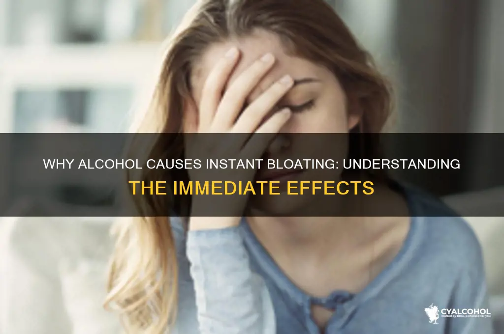 Why Alcohol Causes Instant Bloating: Understanding The Immediate ...