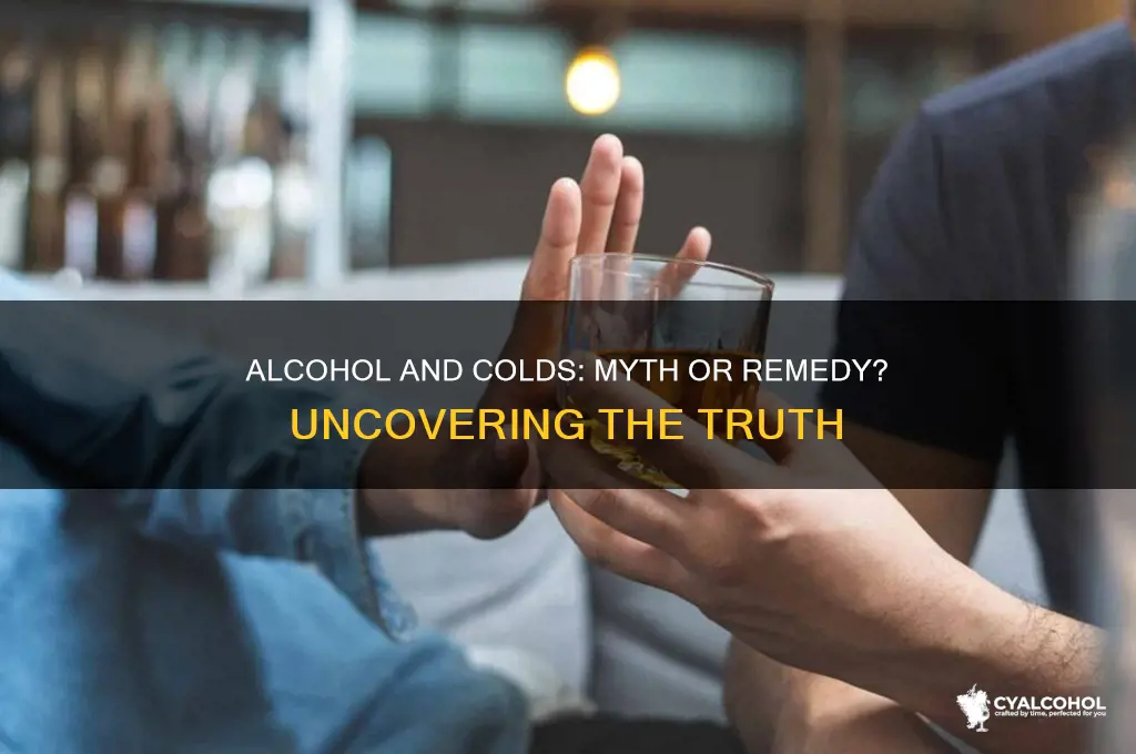 Alcohol And Colds: Myth Or Remedy? Uncovering The Truth | CyAlcohol
