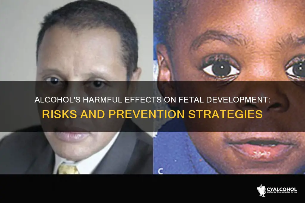 Alcohol's Harmful Effects On Fetal Development: Risks And Prevention ...