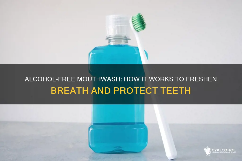 Alcohol-Free Mouthwash: How It Works To Freshen Breath And Protect ...