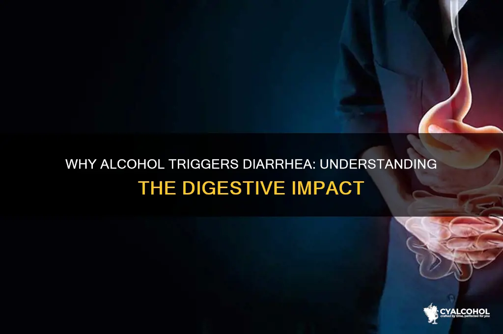 Why Alcohol Triggers Diarrhea: Understanding The Digestive Impact ...