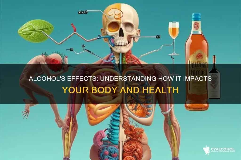 Alcohol's Effects: Understanding How It Impacts Your Body And Health ...