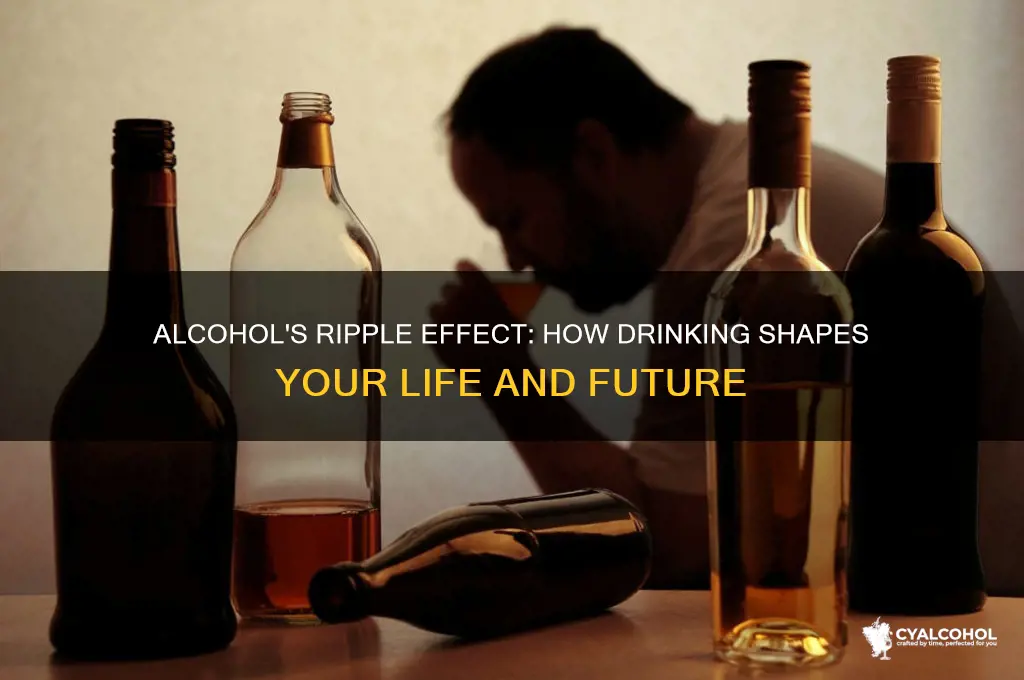 Alcohol's Ripple Effect: How Drinking Shapes Your Life And Future ...