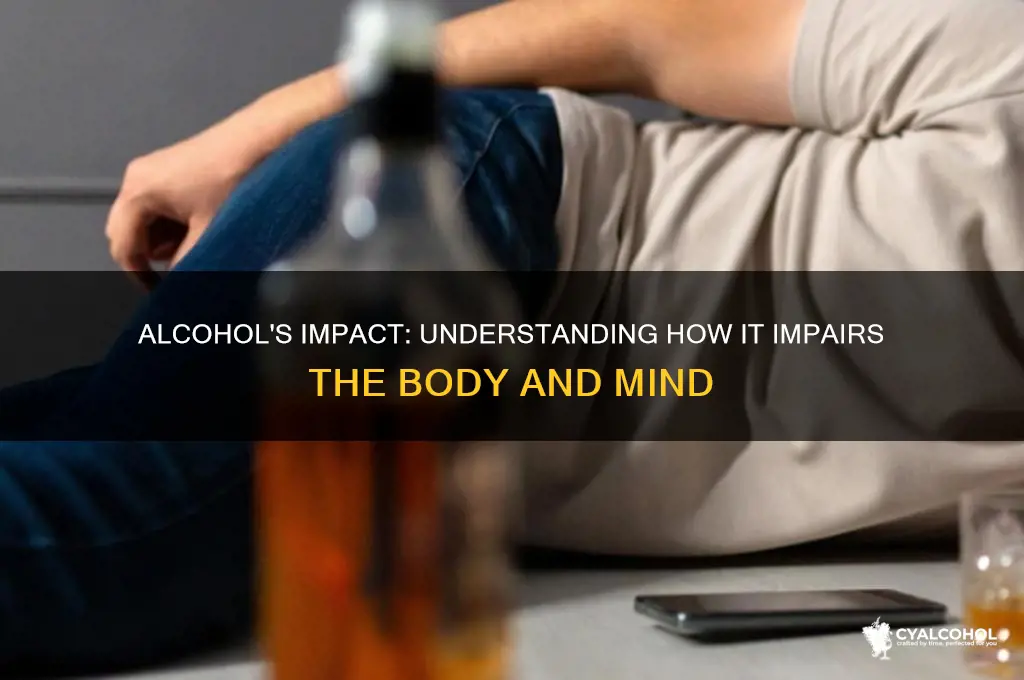 Alcohol's Impact: Understanding How It Impairs The Body And Mind ...