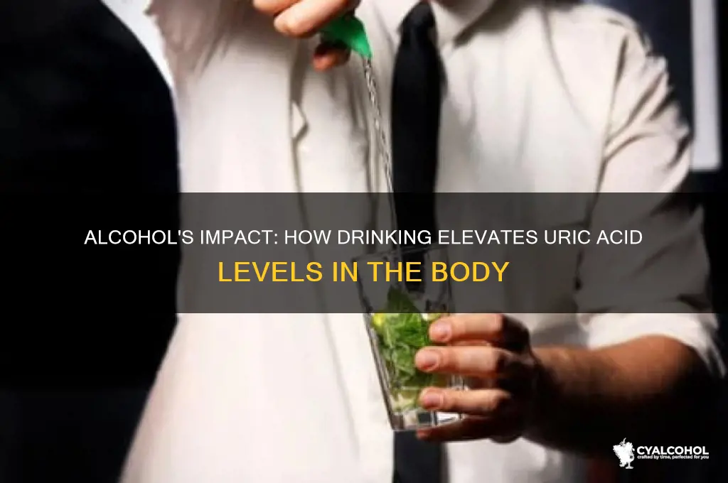 Alcohol's Impact: How Drinking Elevates Uric Acid Levels In The Body ...