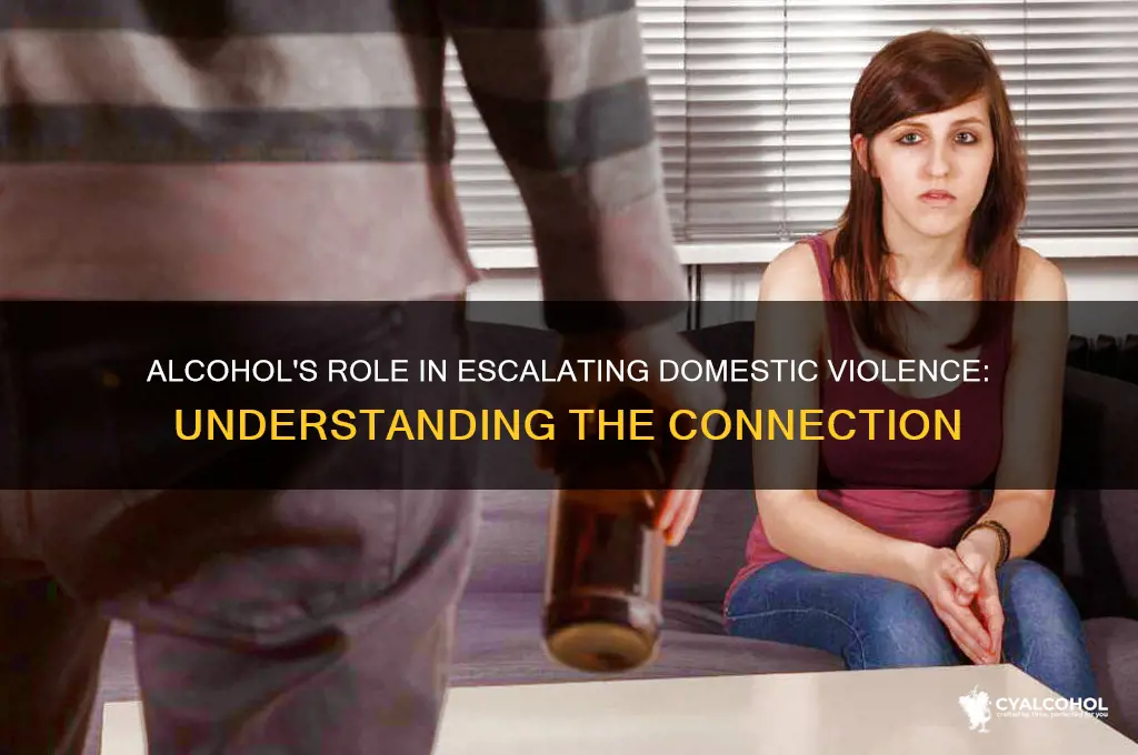 Alcohol's Role In Escalating Domestic Violence: Understanding The ...