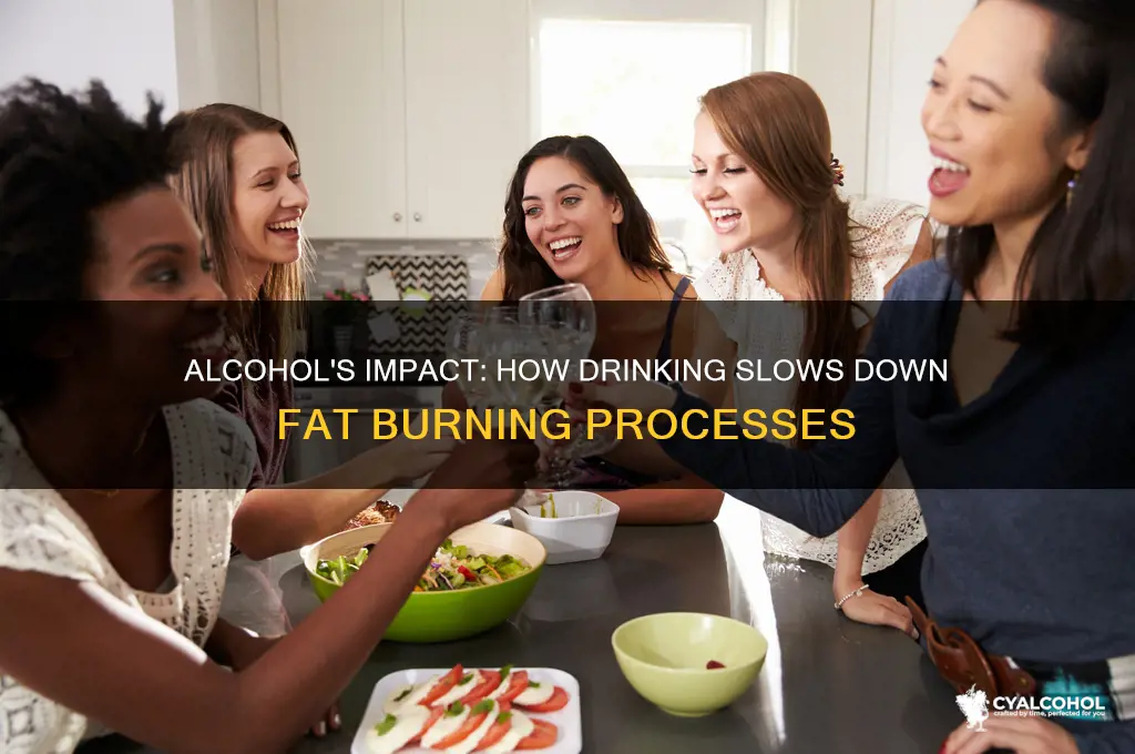 Alcohol's Impact: How Drinking Slows Down Fat Burning Processes | CyAlcohol
