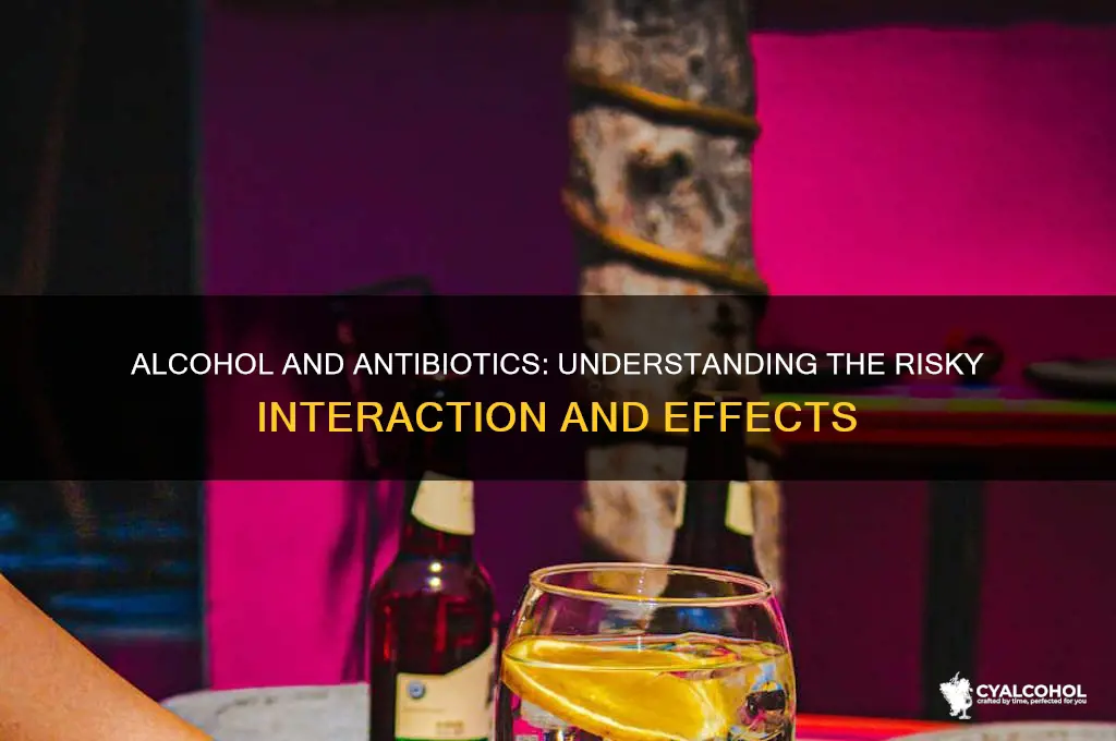 Alcohol And Antibiotics: Understanding The Risky Interaction And ...