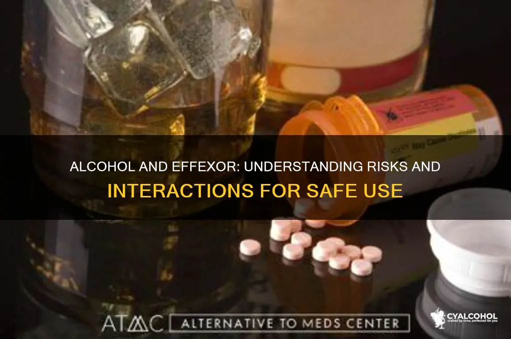 Alcohol And Effexor: Understanding Risks And Interactions For Safe Use ...