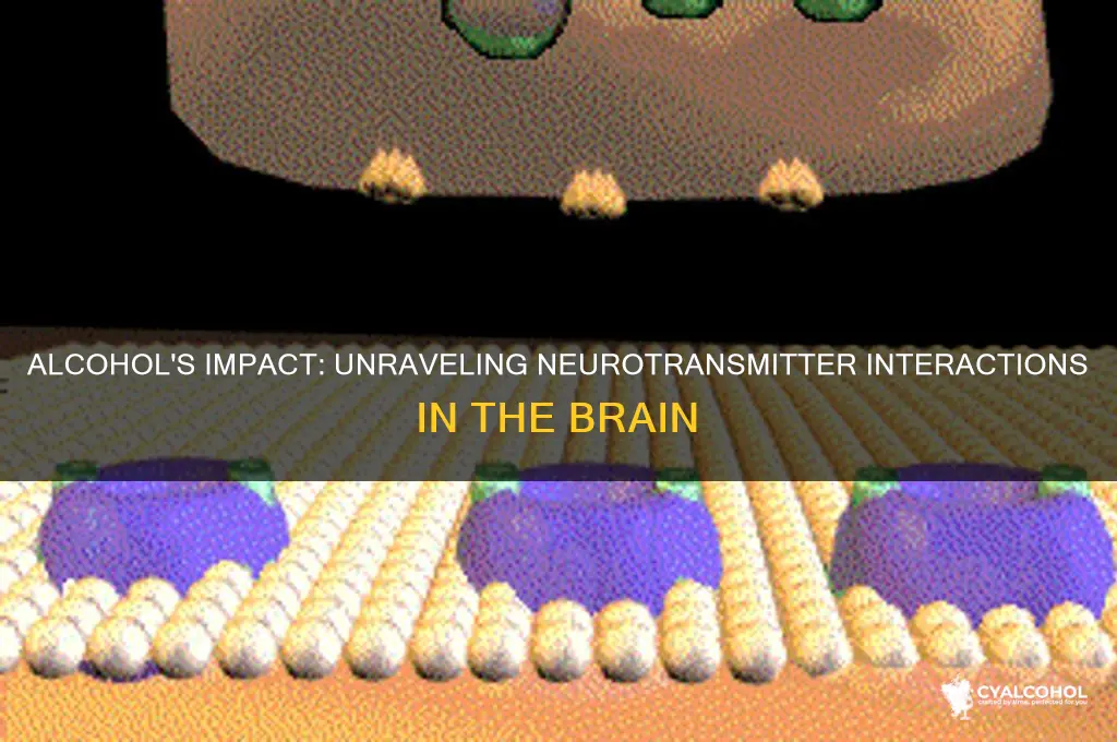 Alcohol's Impact: Unraveling Neurotransmitter Interactions In The Brain ...