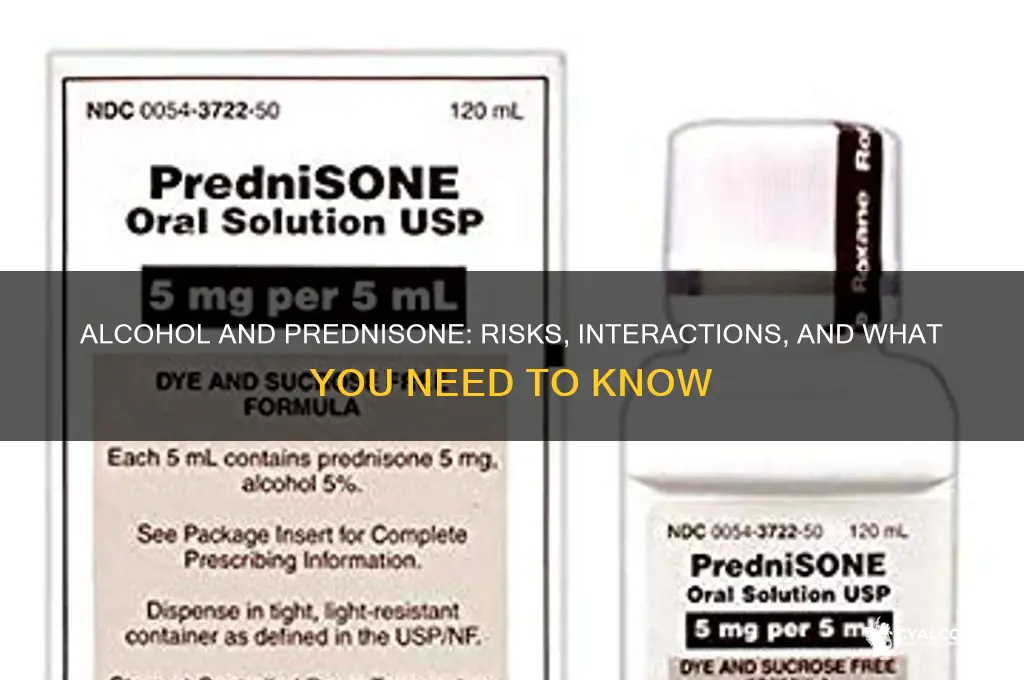 Alcohol And Prednisone: Risks, Interactions, And What You Need To Know ...