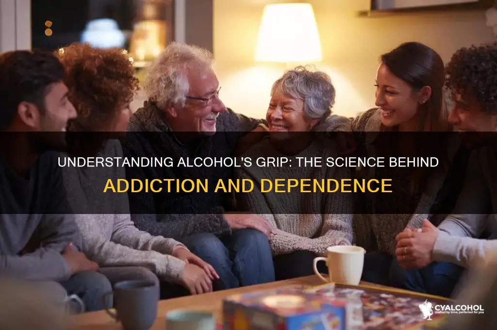 Understanding Alcohol's Grip: The Science Behind Addiction And ...