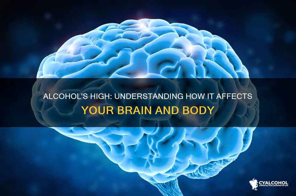 Alcohol's High: Understanding How It Affects Your Brain And Body ...