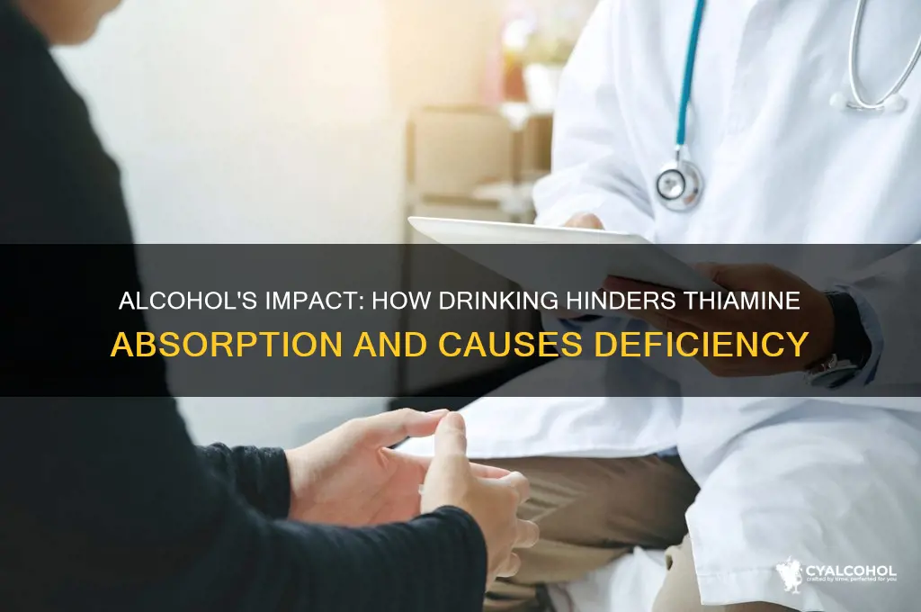 Alcohol's Impact: How Drinking Hinders Thiamine Absorption And Causes ...