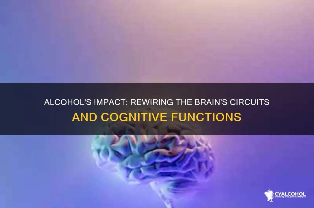 Alcohol's Impact: Rewiring The Brain's Circuits And Cognitive Functions ...