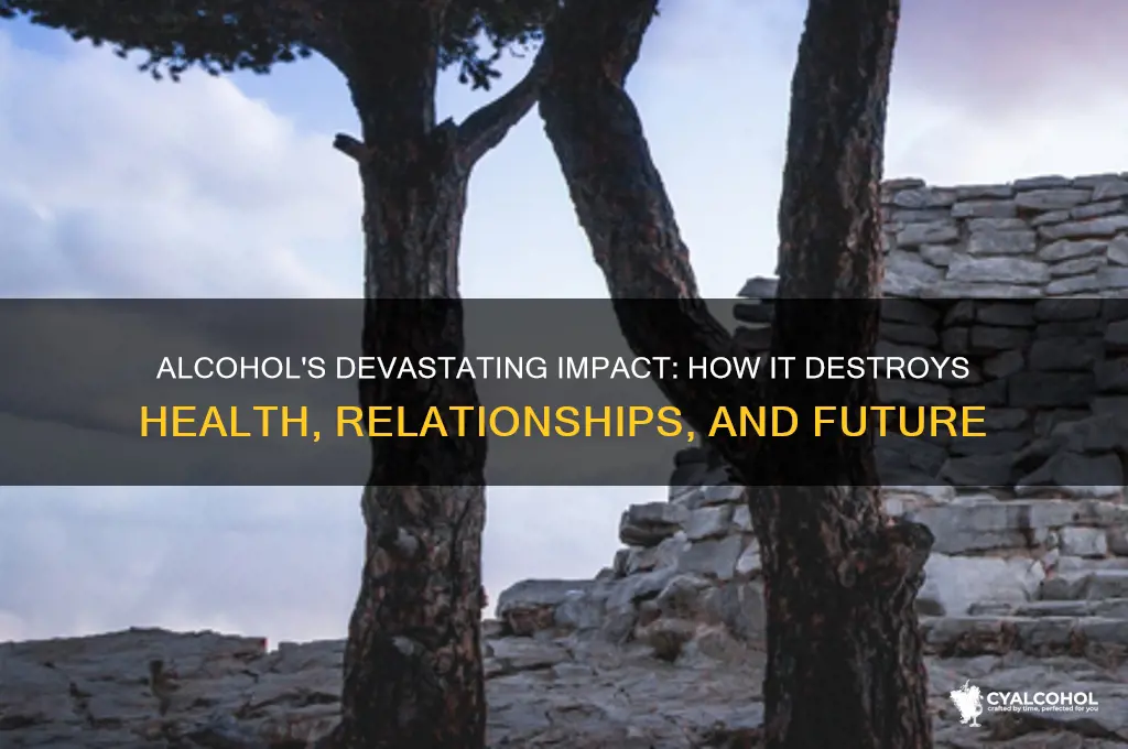 Alcohol's Devastating Impact: How It Destroys Health, Relationships ...